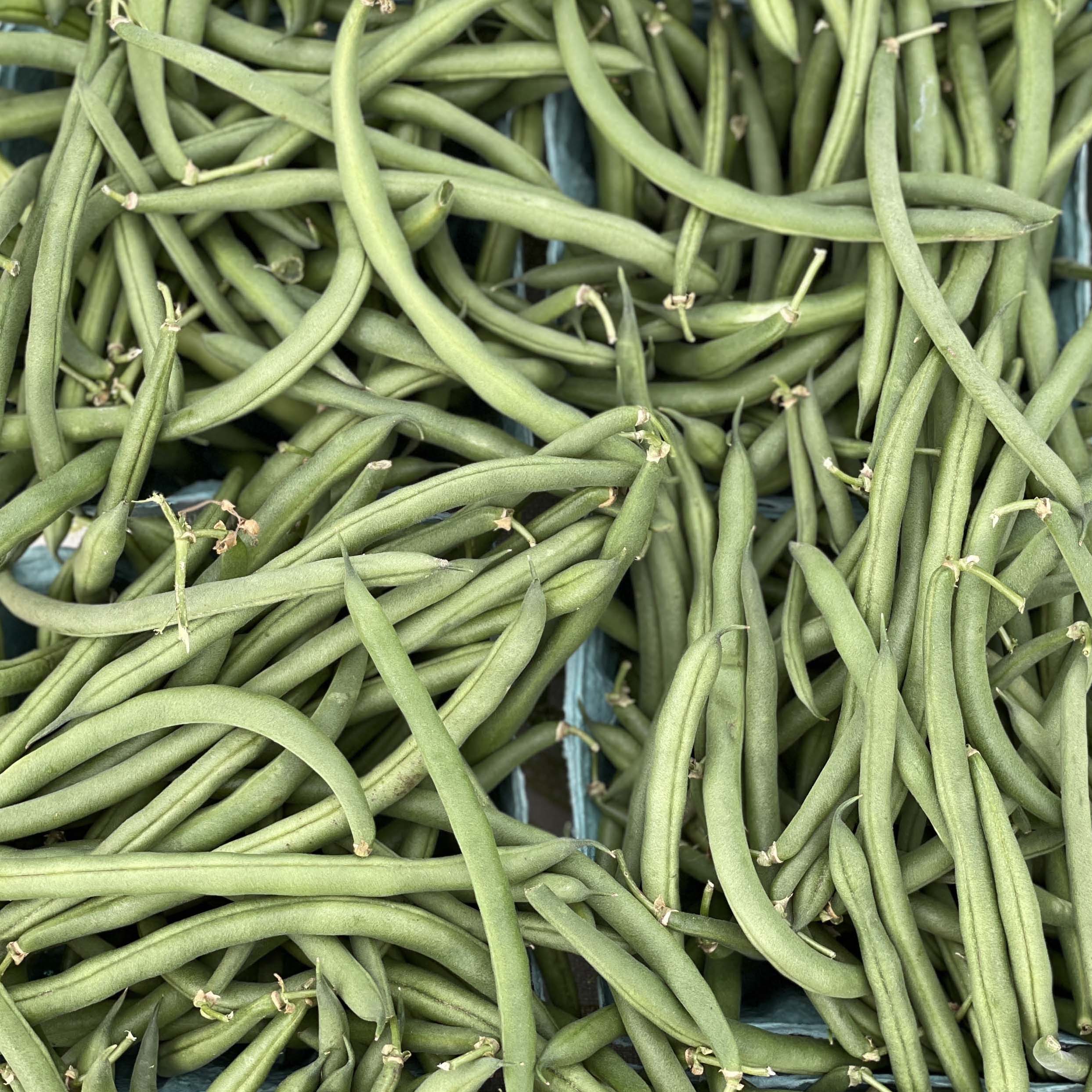 Place Your Order – Tusc County Farmer's Market