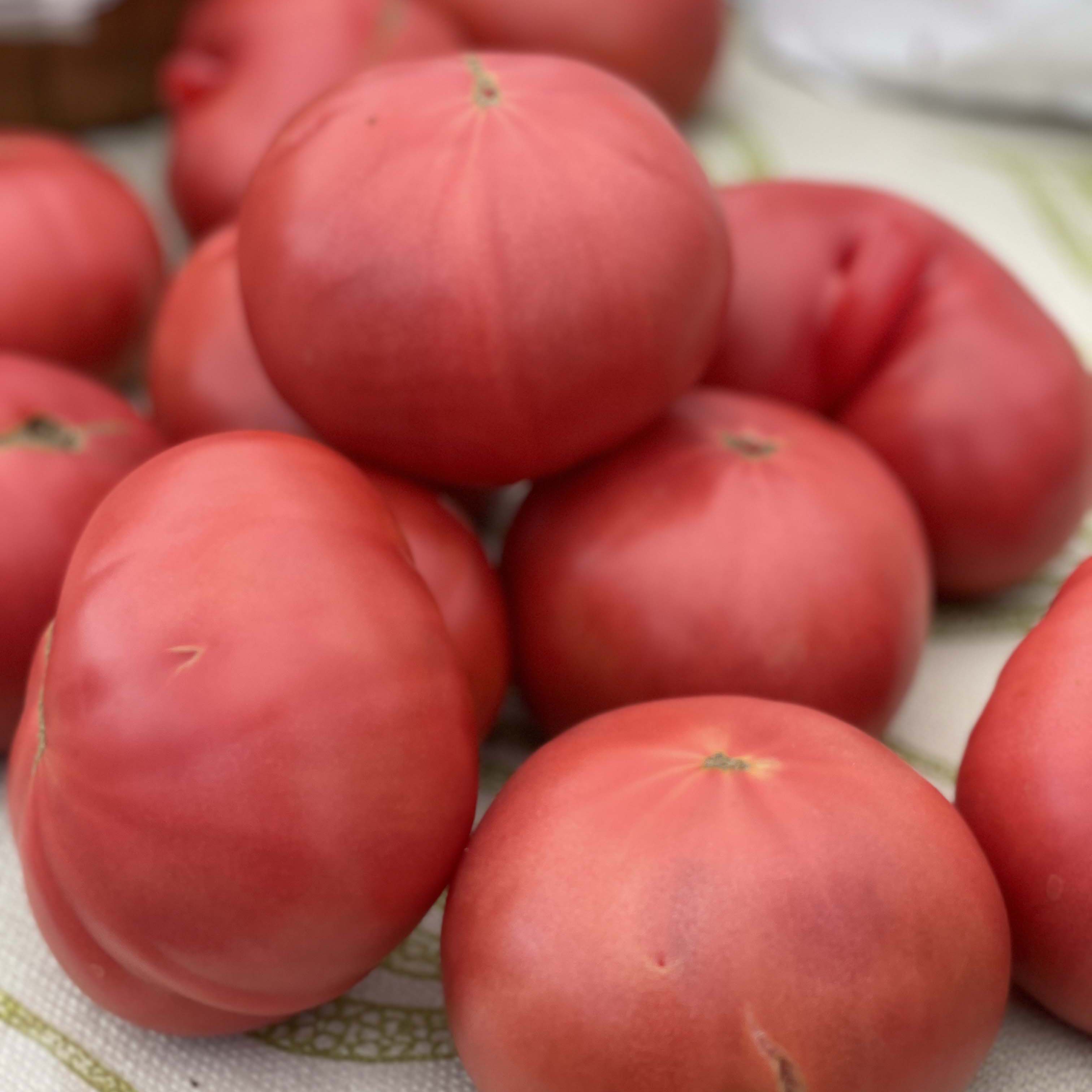 Collections – Tusc County Farmer's Market