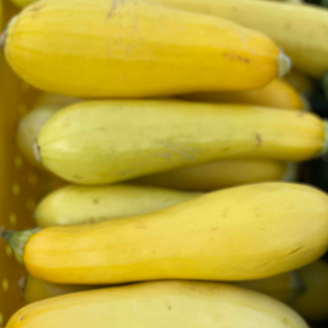 Place Your Order – Tusc County Farmer's Market